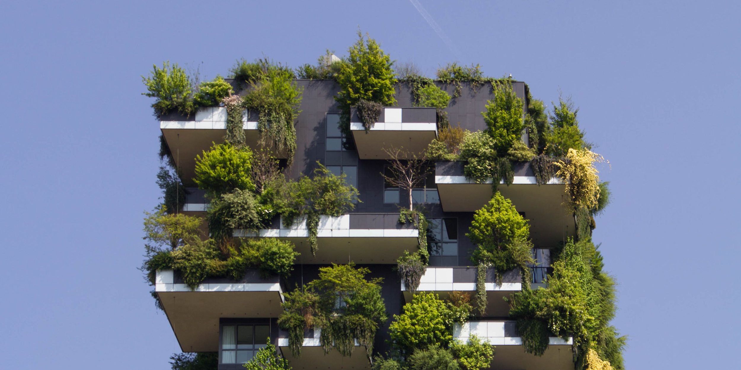 Sustainable Building Remains a Priority for the Design and Construction ...